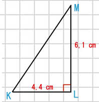 SOS CAS TOA | Sin, Cos en Tan | Uitleg en video's